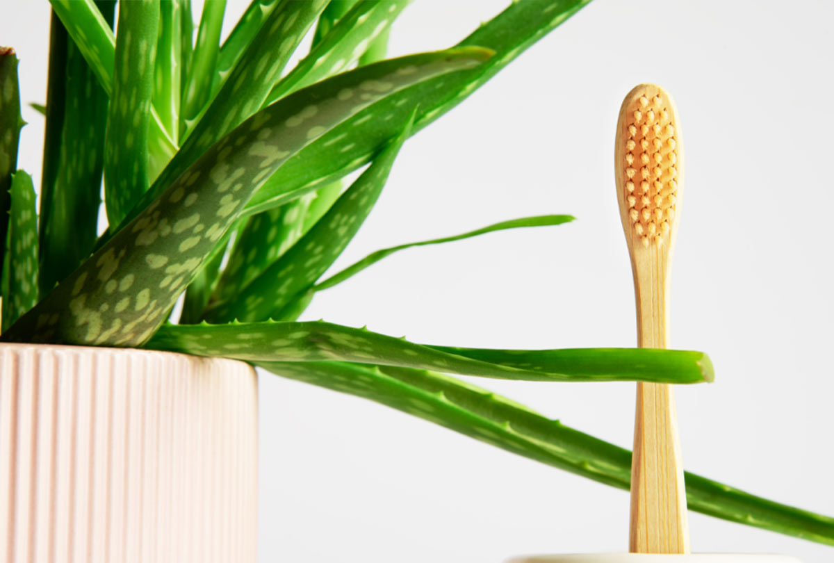 Is Aloe Vera Good for Gums and Teeth?