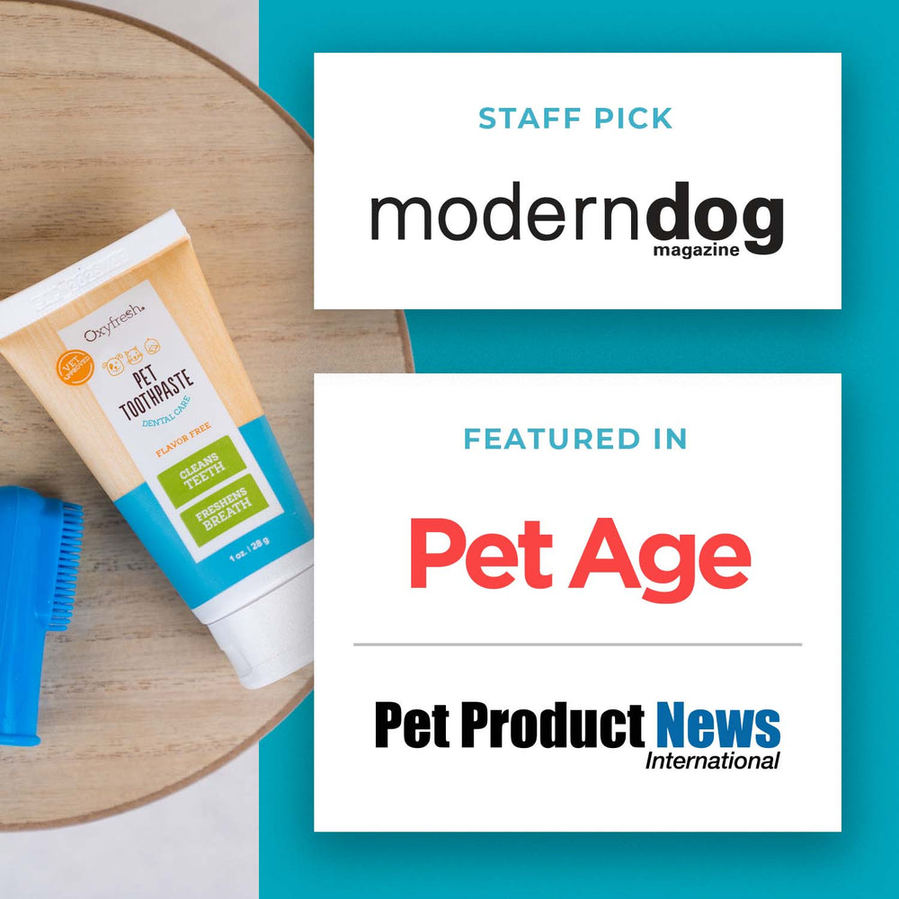 Sample Size Pet Toothpaste - Best Way To Clean Pet Teeth