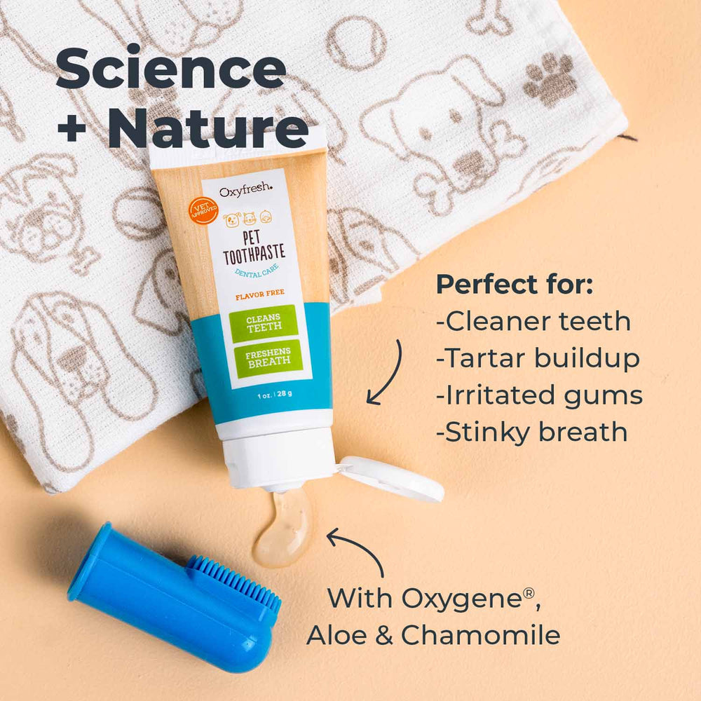 Sample Size Pet Toothpaste - Best Way To Clean Pet Teeth