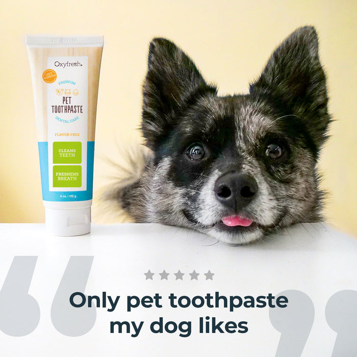 #1 Pet Toothpaste! Pet Parents Love Oxyfresh Dog and Cat Toothpaste to ...